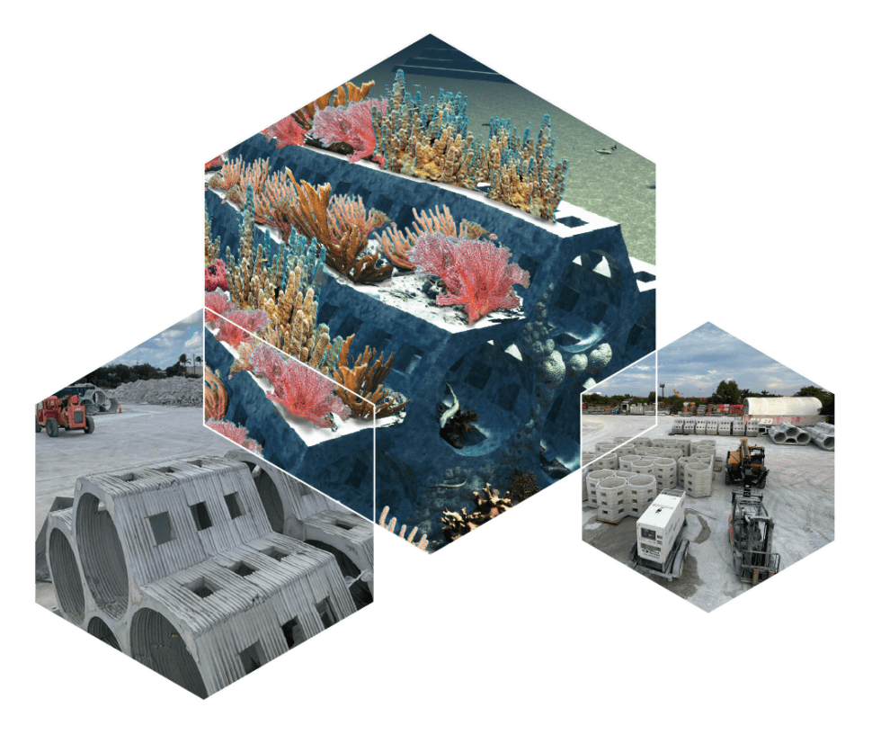 Coastal Protection | 1Print